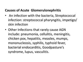 1.primary glomerular diseases | PPTX