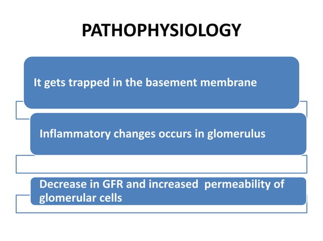 1.primary glomerular diseases | PPTX | Blood Disorders | Diseases and Conditions