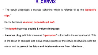 1. 2. physiology of pregnancy | PPTX