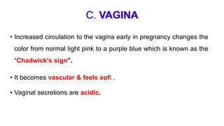 1. 2. physiology of pregnancy | PPTX