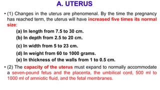 1. 2. physiology of pregnancy | PPTX