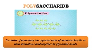 CH-01. Classification of Carbohydrates and Properties | PPTX
