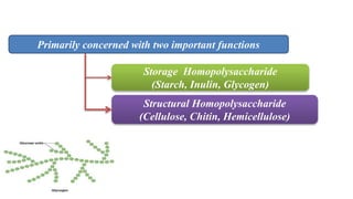 CH-01. Classification of Carbohydrates and Properties | PPTX