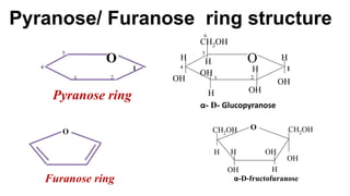 CH-01. Classification of Carbohydrates and Properties | PPTX