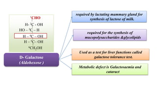 CH-01. Classification of Carbohydrates and Properties | PPTX