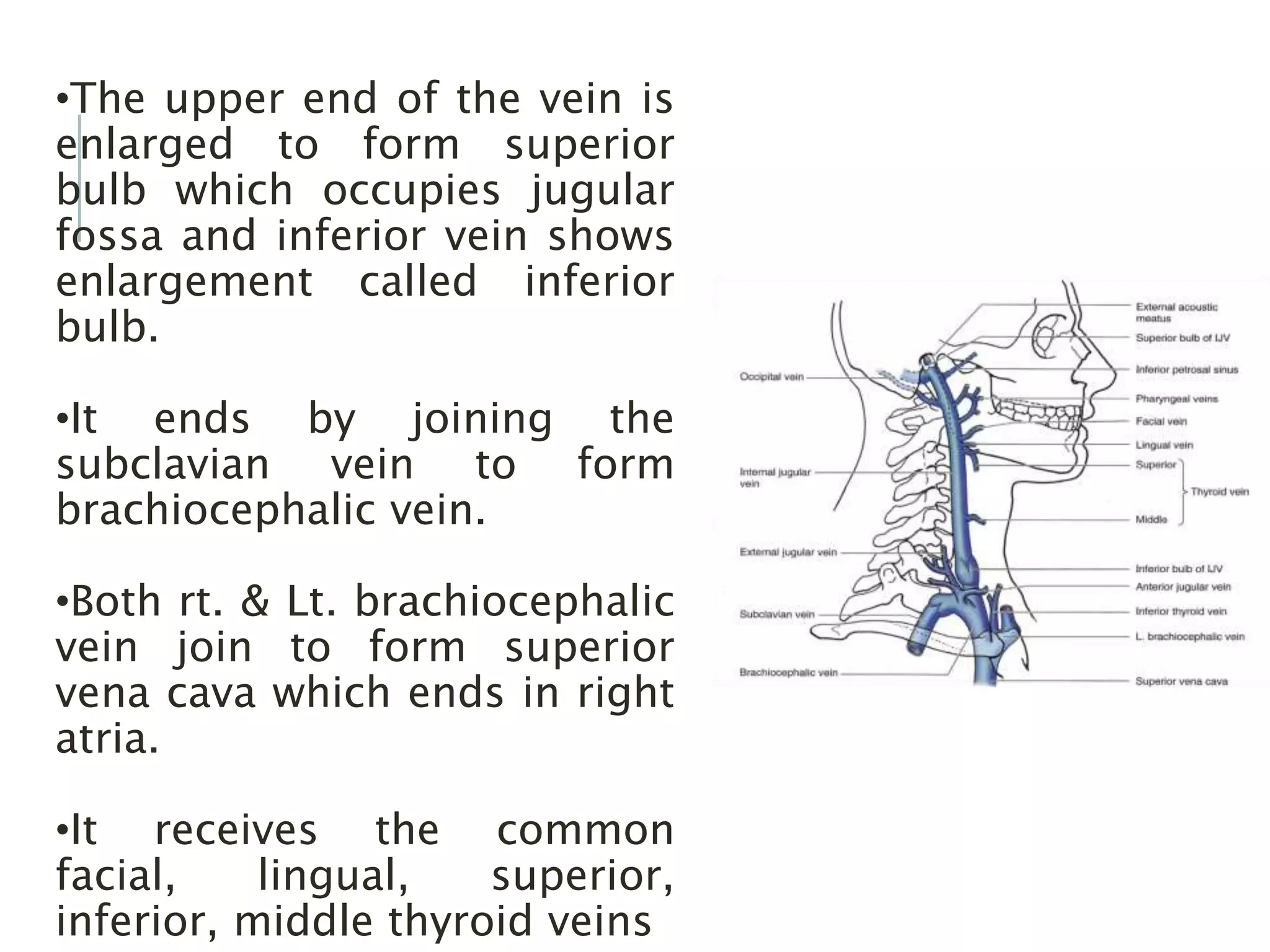 1.VENOUS DRAINAGE OF HEAD AND NECK.pptx