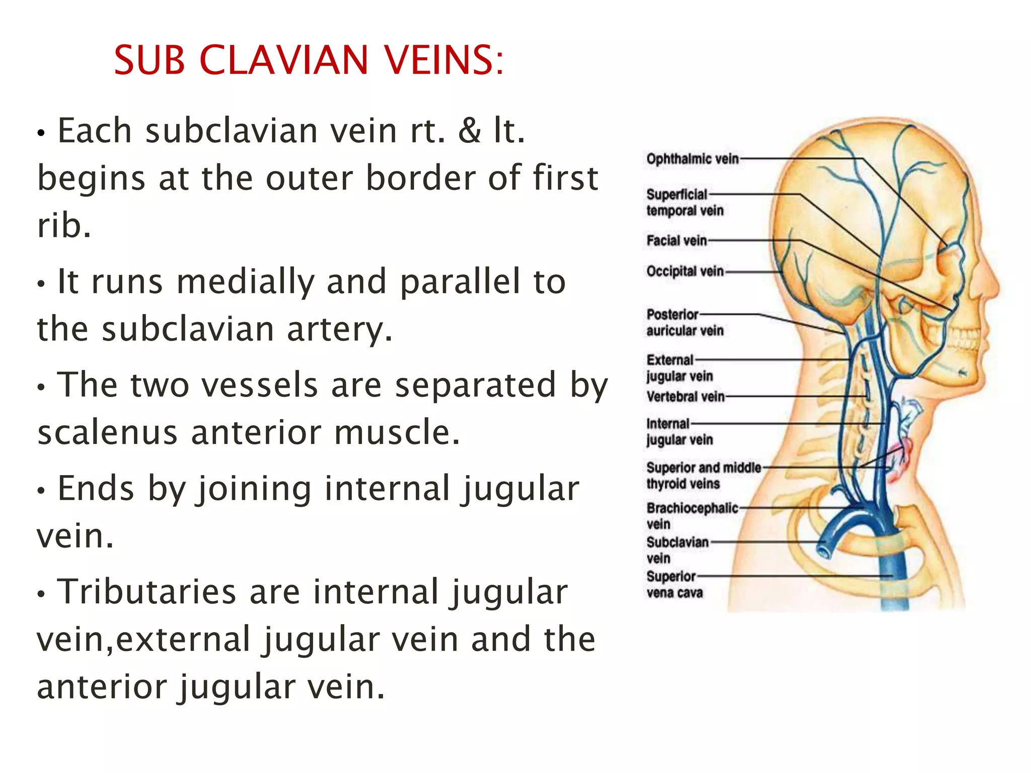1.VENOUS DRAINAGE OF HEAD AND NECK.pptx