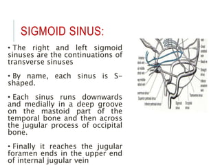 1.VENOUS DRAINAGE OF HEAD AND NECK.pptx