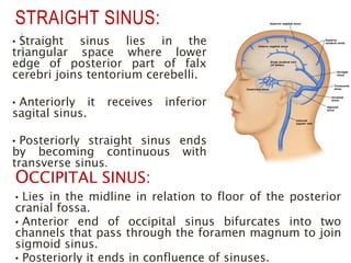 1.VENOUS DRAINAGE OF HEAD AND NECK.pptx