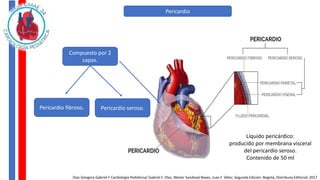 1. ANATOMIA CARDIACA.pptx