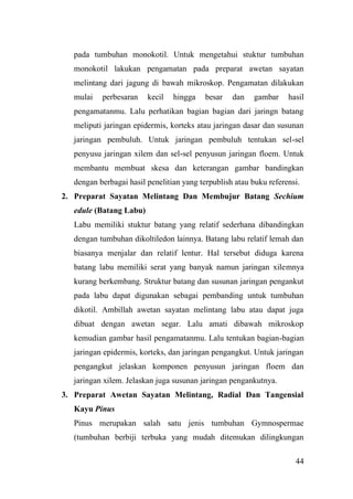 1.PenuntunAnatomiTumbuhan.pdf