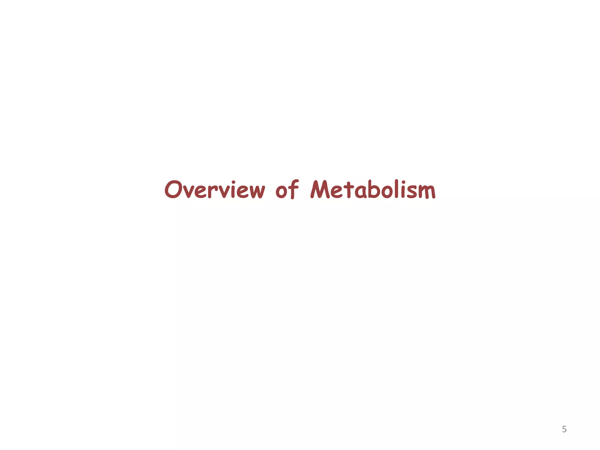 1. OVERVIEW OF METABOLISM.pdf