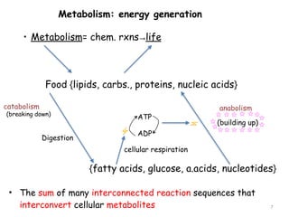 1. OVERVIEW OF METABOLISM.pdf