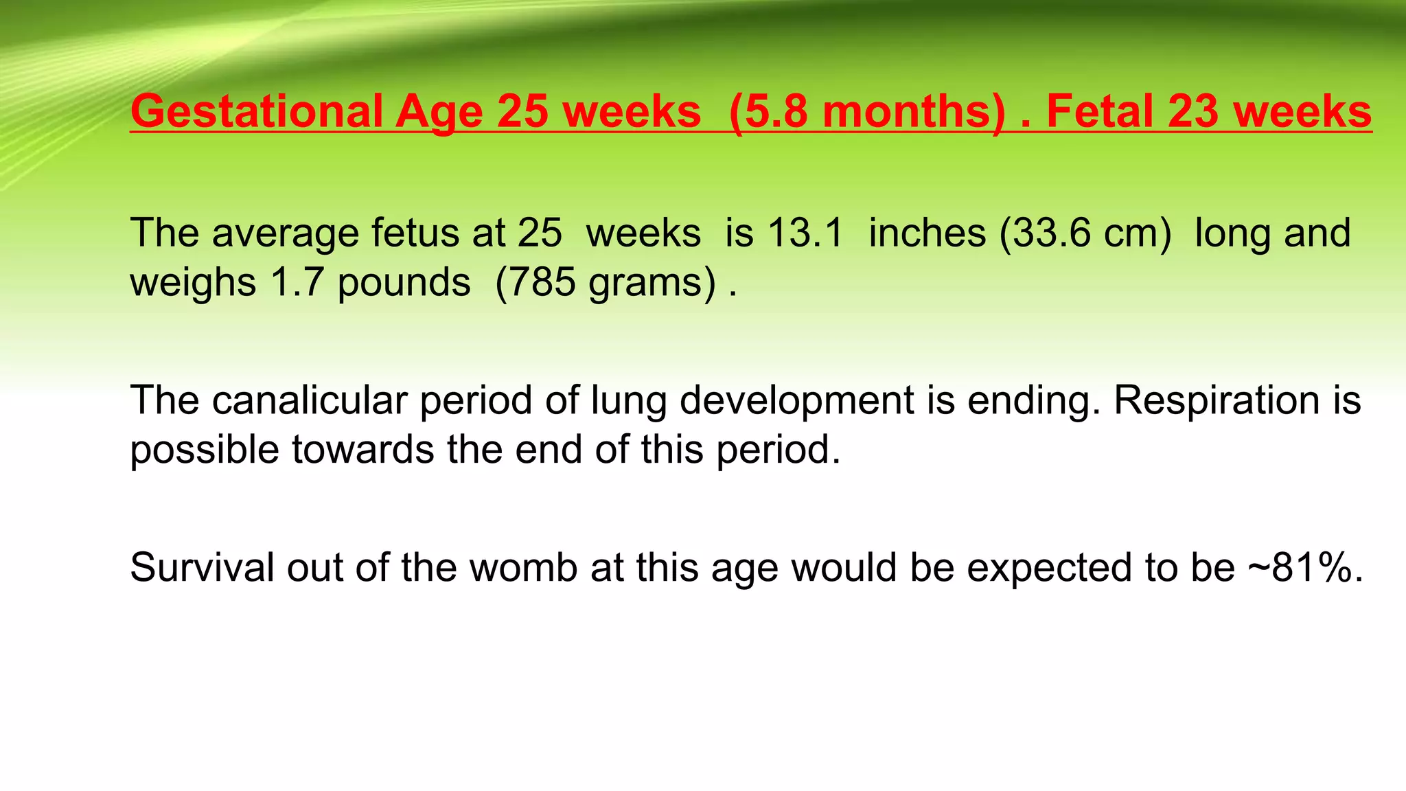 1.fetal circulation,fetal development.ppt