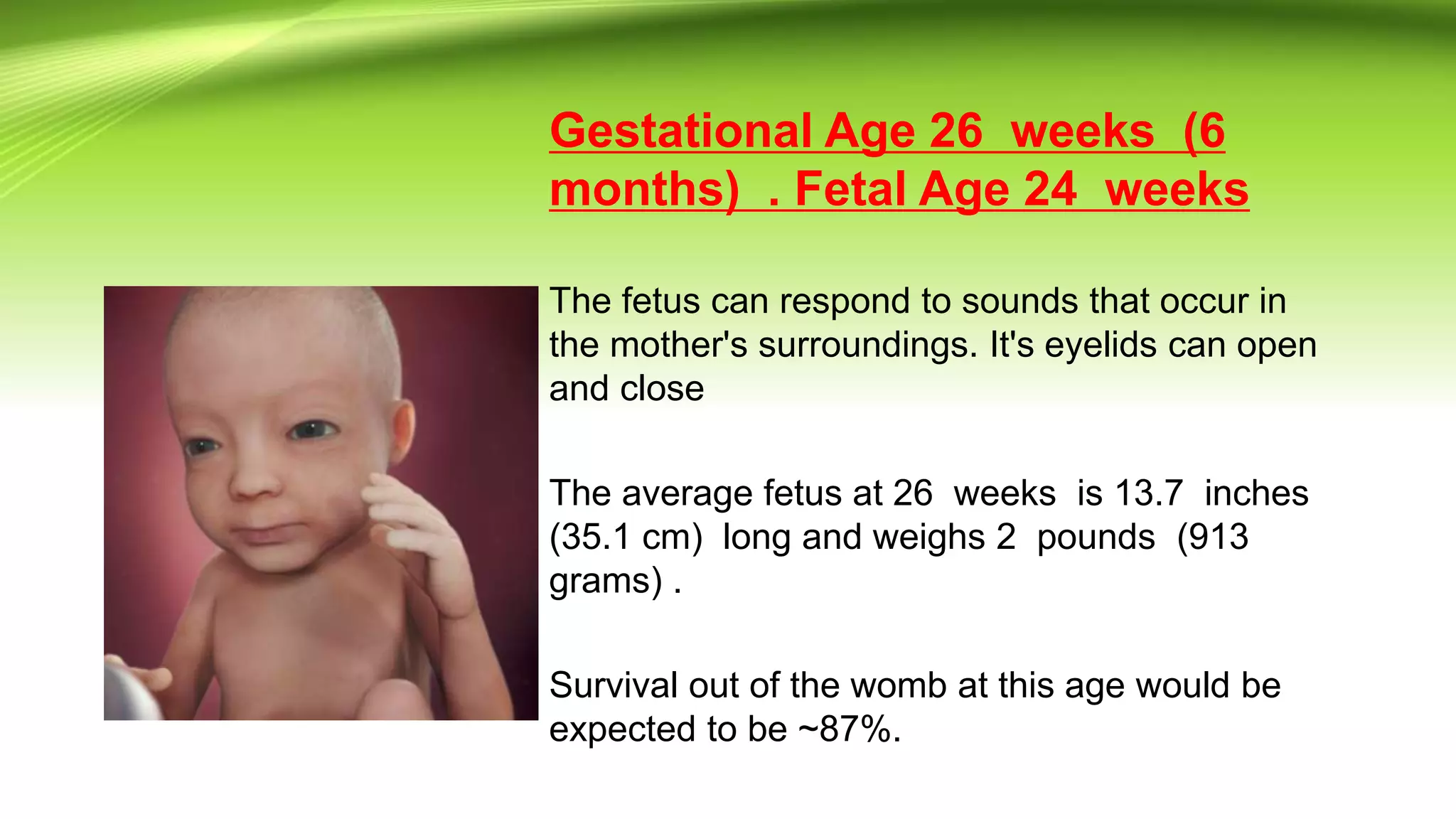 1.fetal circulation,fetal development.ppt