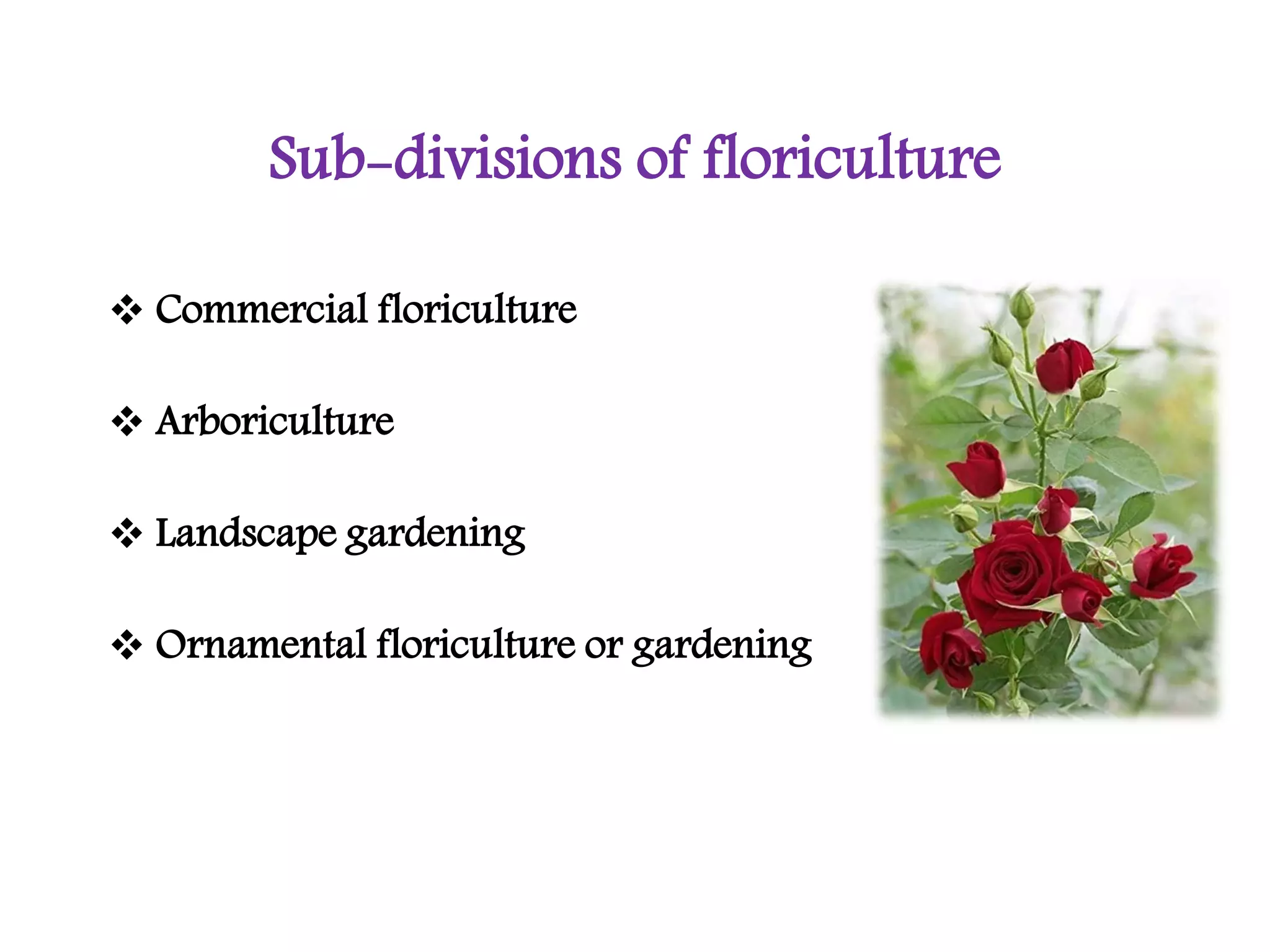 Introduction to Floriculture | PDF