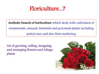 Introduction to Floriculture | PDF