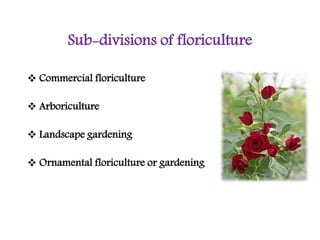 Introduction to Floriculture | PDF