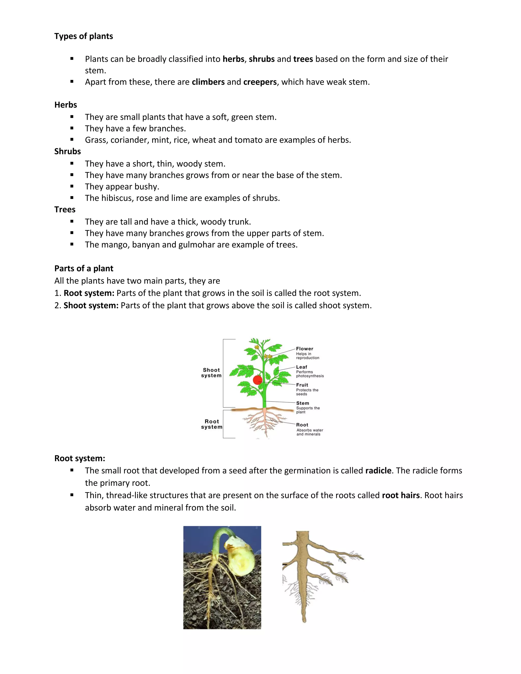 1. Plant structure and function.pdf