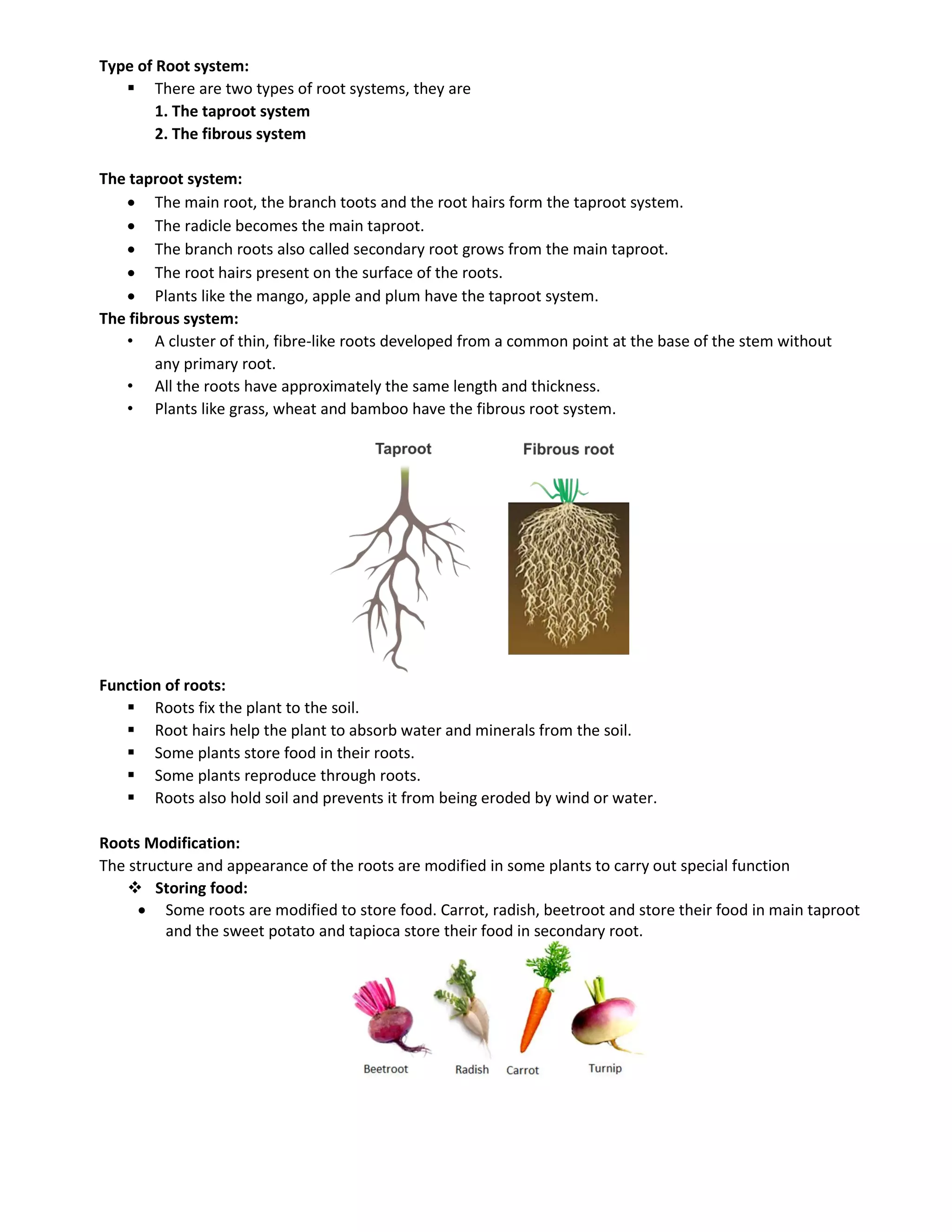 1. Plant structure and function.pdf