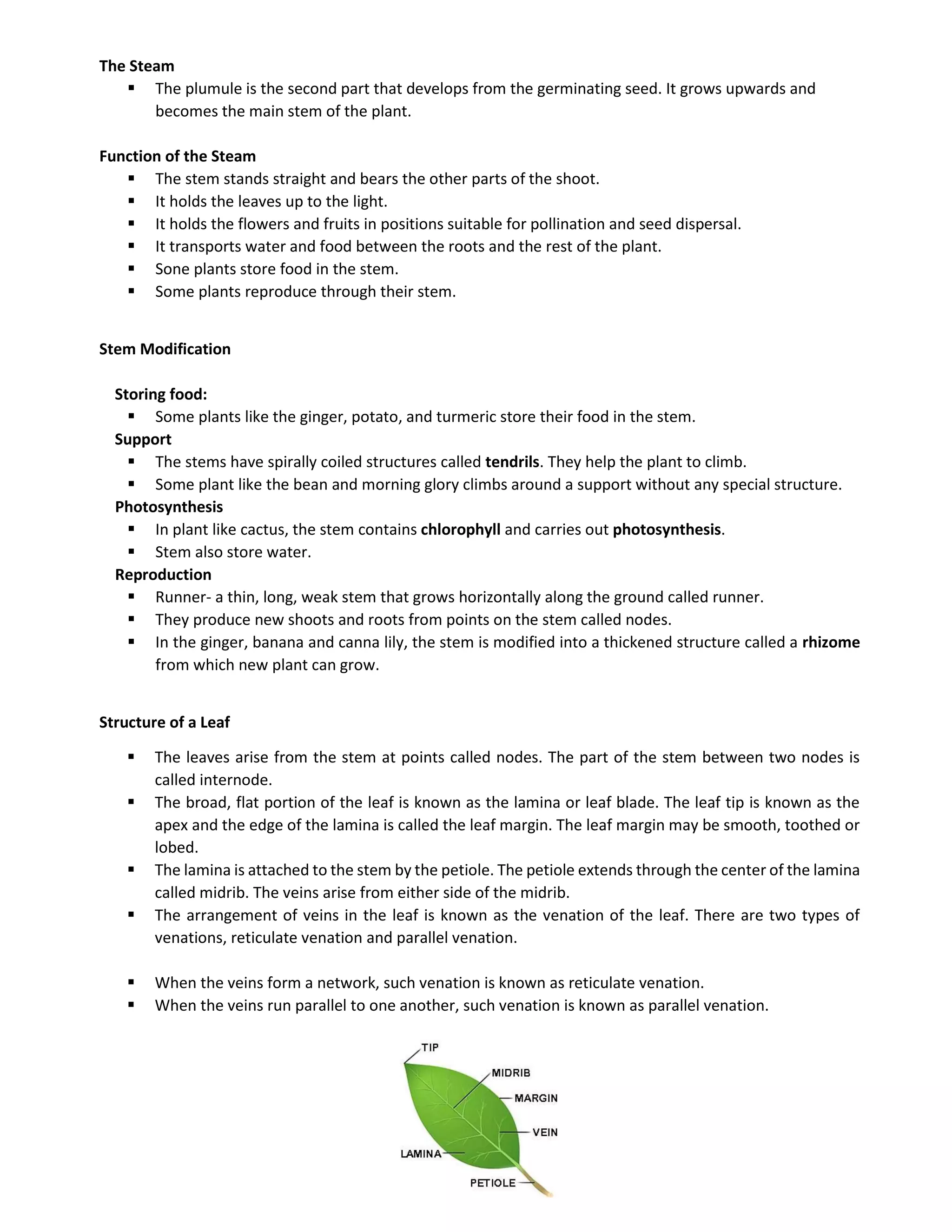 1. Plant structure and function.pdf