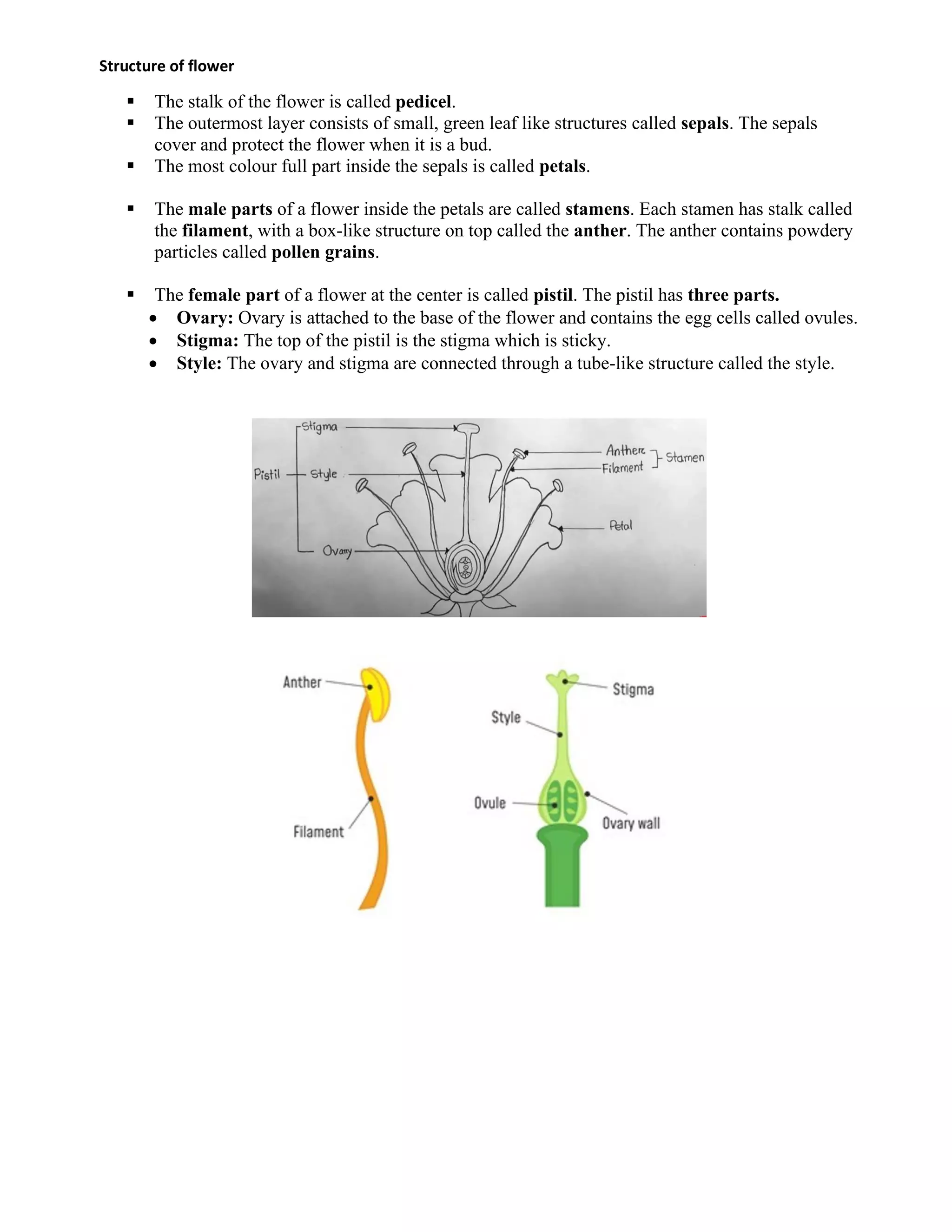 1. Plant structure and function.pdf