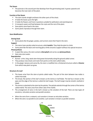 1. Plant structure and function.pdf
