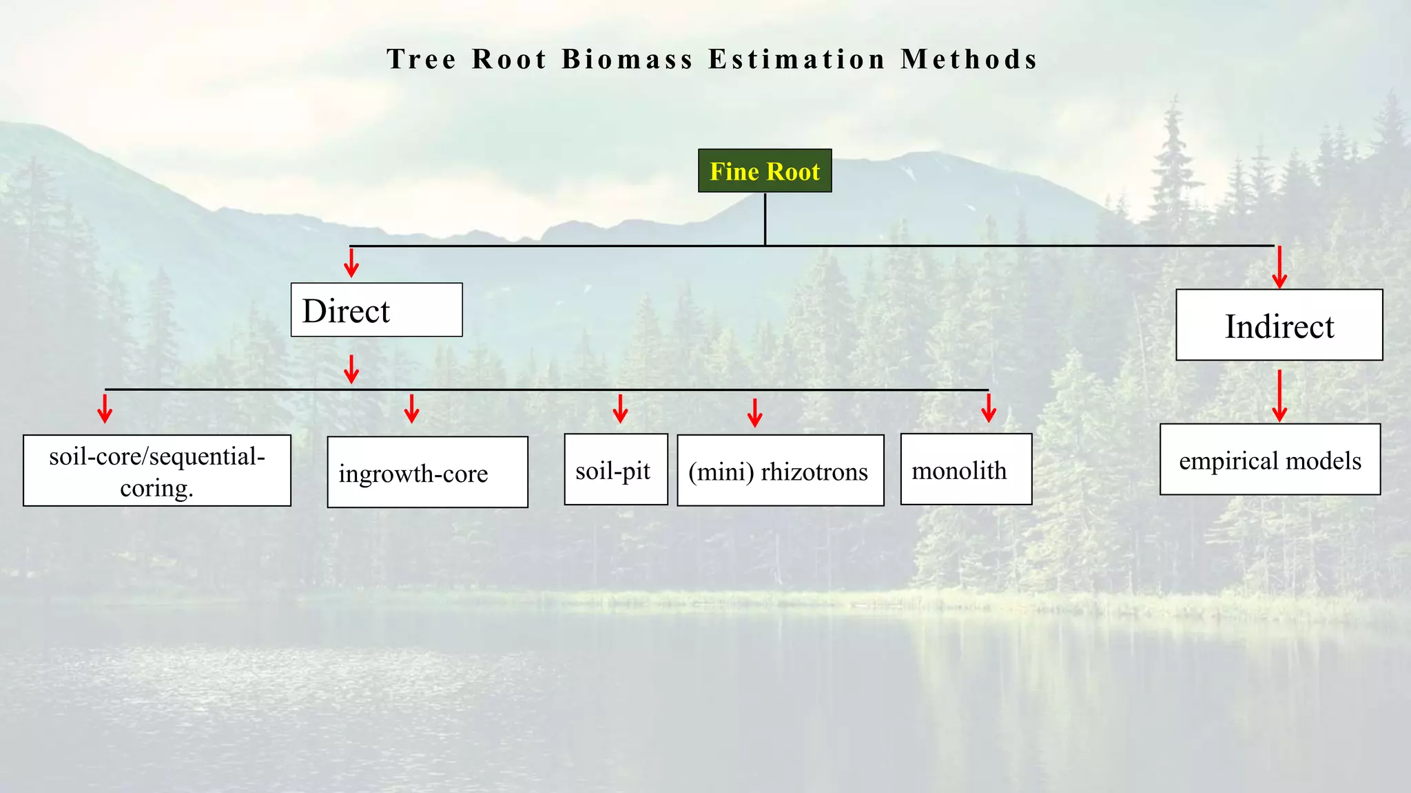 METHODS FOR ESTIMATING ROOT BIOMASS AND PRODUCTION IN FOREST AND ...