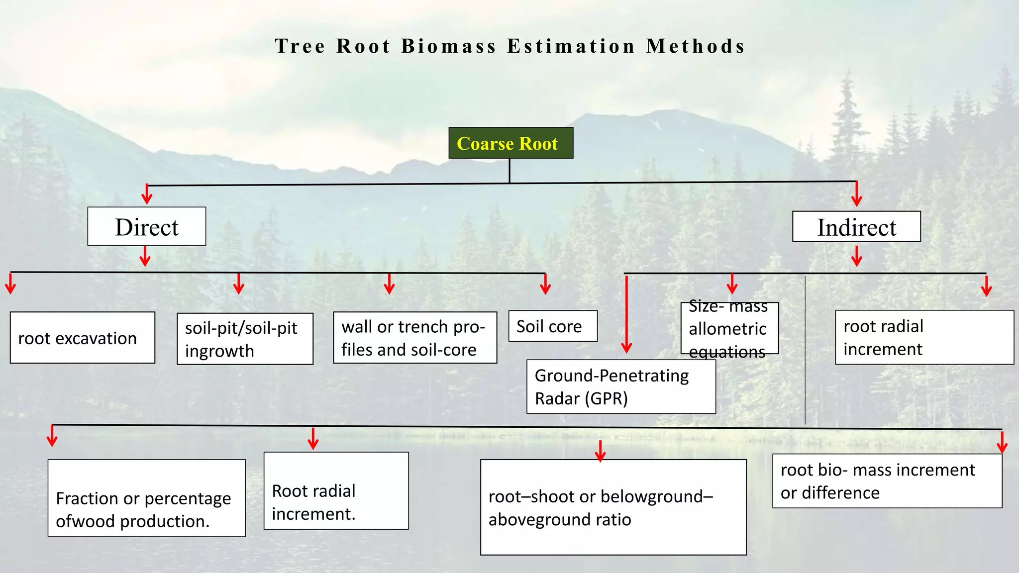 METHODS FOR ESTIMATING ROOT BIOMASS AND PRODUCTION IN FOREST AND ...