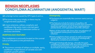 1. PATHOLOGIES OF THE PENIS.pptx