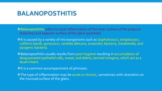 1. PATHOLOGIES OF THE PENIS.pptx