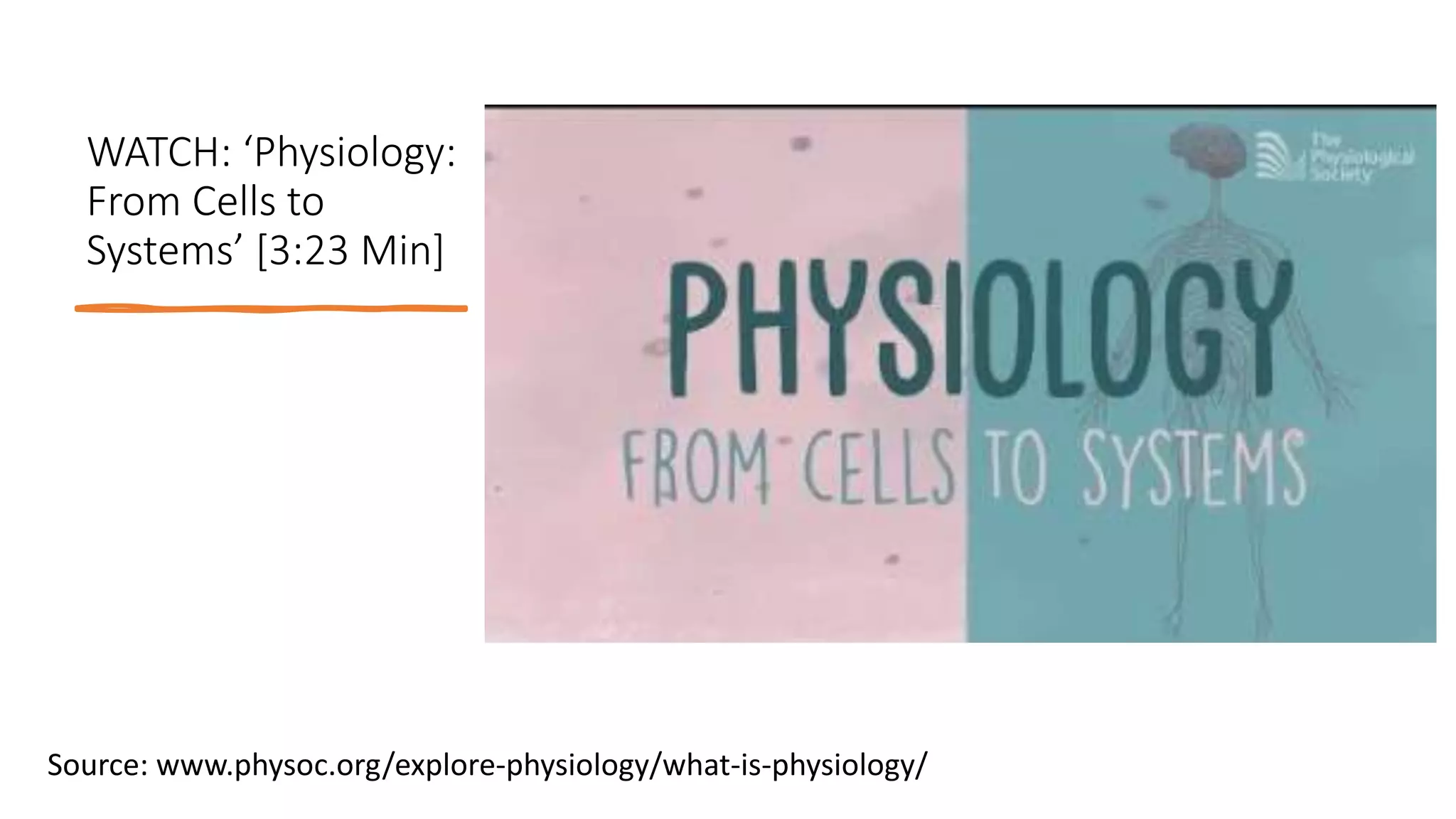Exercise Physiology Part 1 of 3 Anatomy and the 11 Systems in our Body.pptx