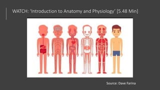 Exercise Physiology Part 1 of 3 Anatomy and the 11 Systems in our Body.pptx