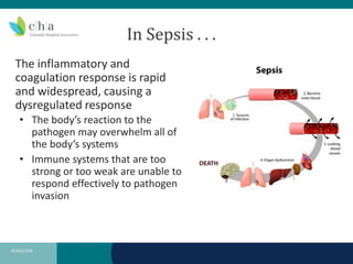 1.1-Sepsis-101-PowerPoint-1.pptx