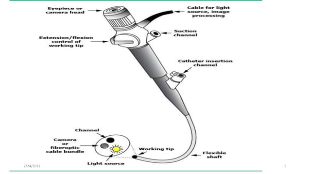 Bronchoscopy (ADULTS) | PPT