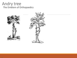 A Brief History of Orthopaedics | PPTX