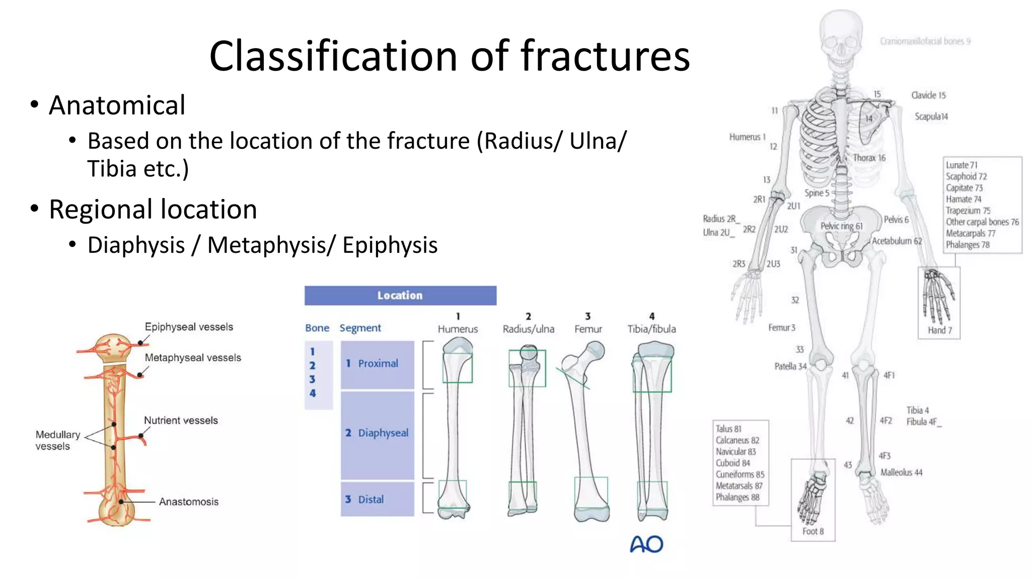 Fractures: Definiton, Diagnosis, Fracture healing , Complications.pptx