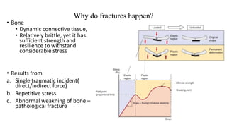 Fractures: Definiton, Diagnosis, Fracture healing , Complications.pptx