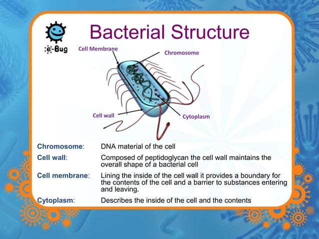 1. Introduction to Microbes.ppt