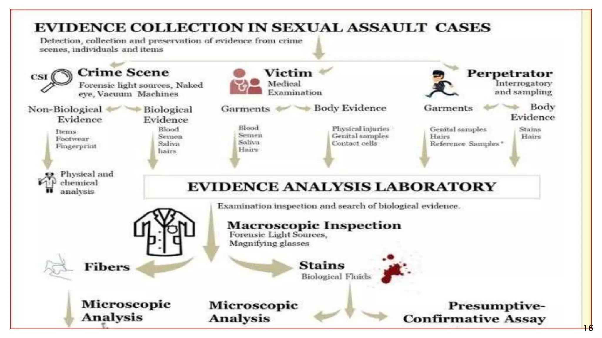 Forensic Sample Collection and Preservation.pptx