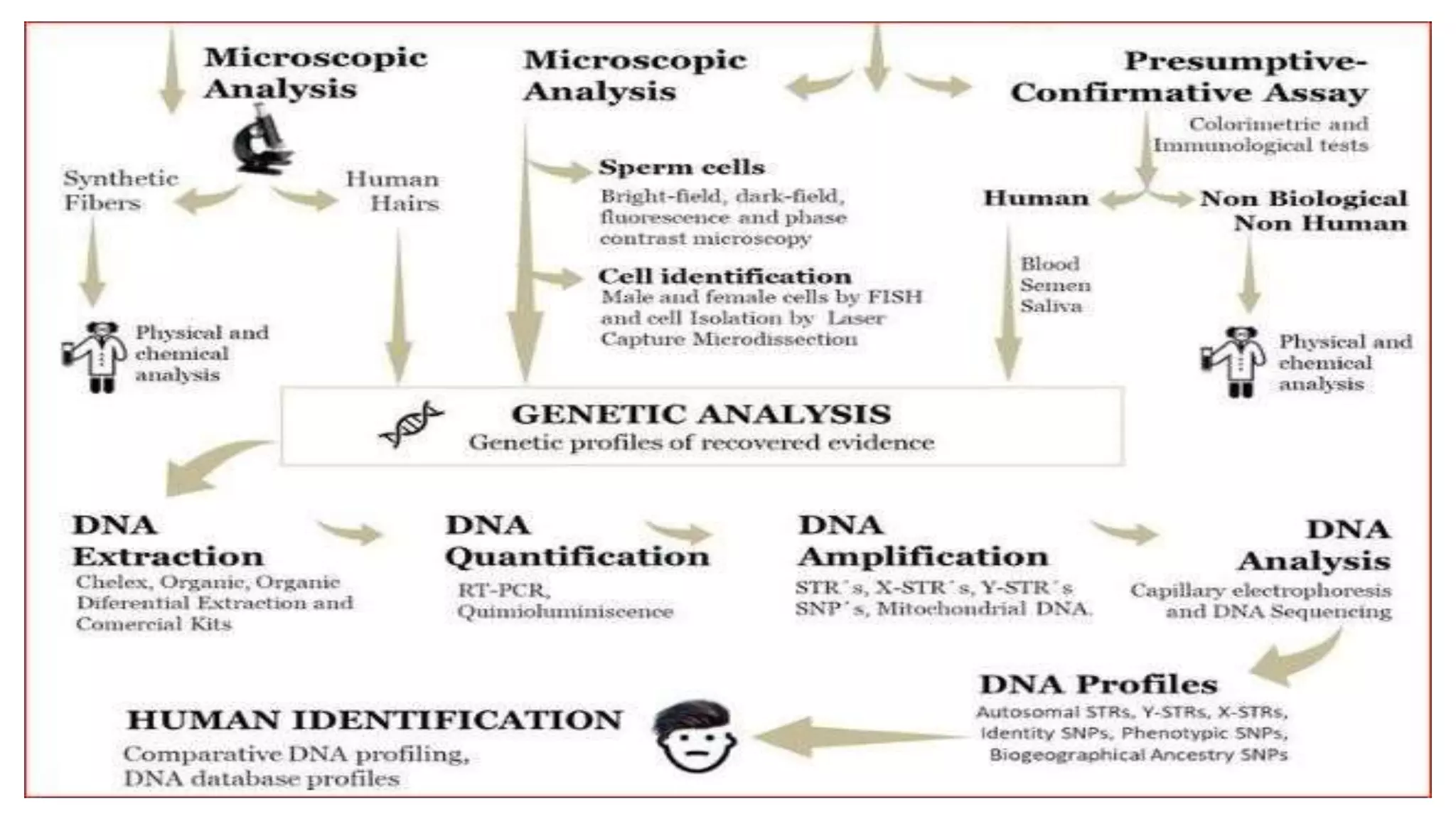 Forensic Sample Collection and Preservation.pptx