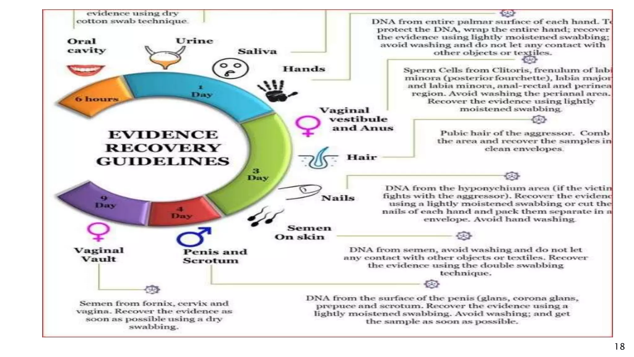 Forensic Sample Collection and Preservation.pptx