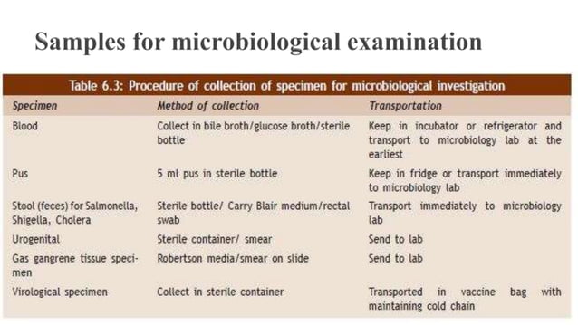 Forensic Sample Collection and Preservation.pptx