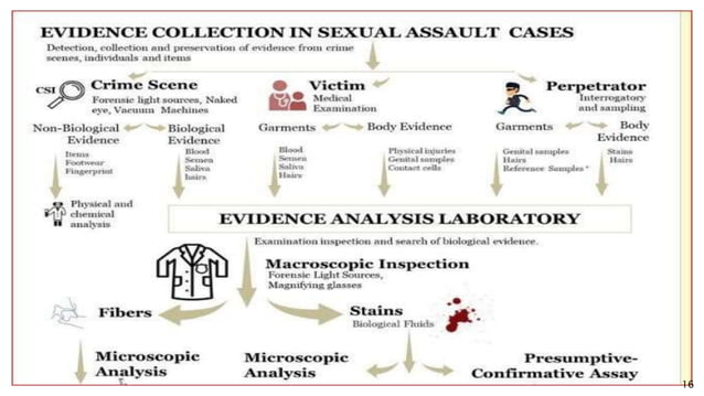 Forensic Sample Collection and Preservation.pptx