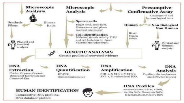 Forensic Sample Collection and Preservation.pptx
