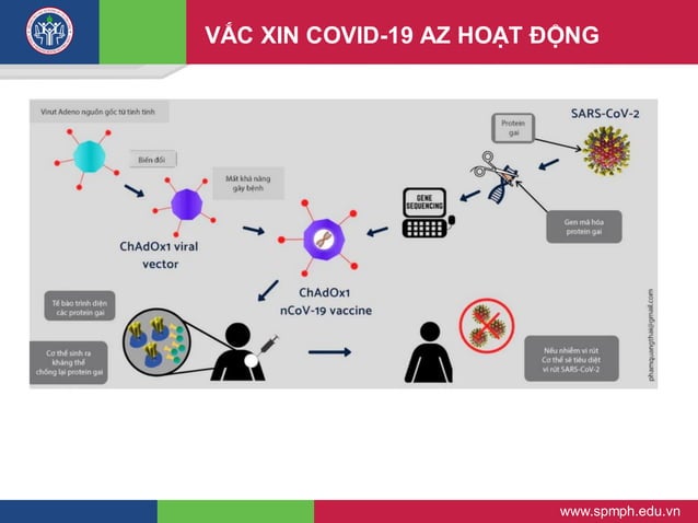1. Tong quan ve vac xin_FINAL 2022.pdf