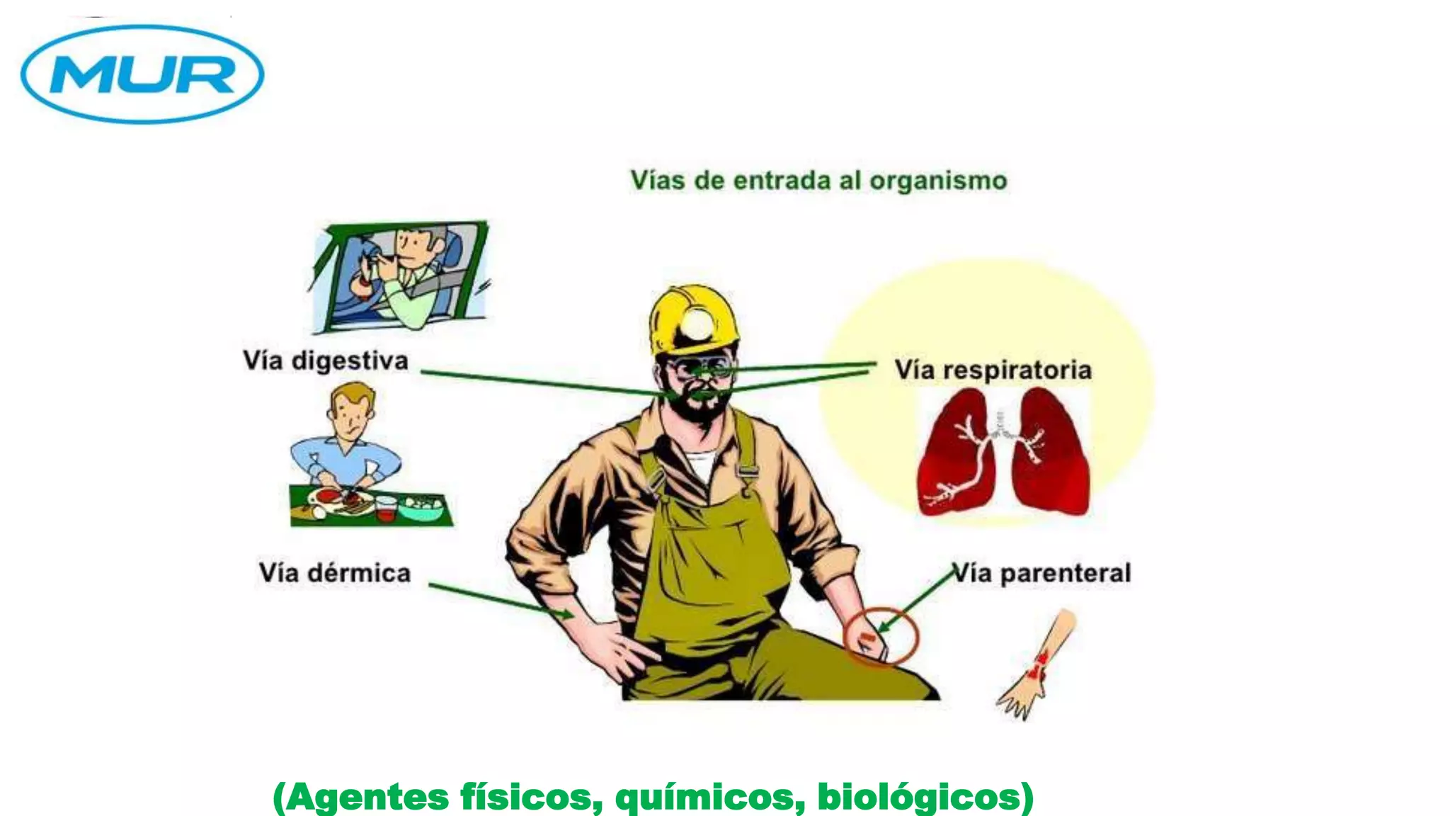 Higiene Ocupacional(Agentes fisicos, agentes quimicos y biologicos ...