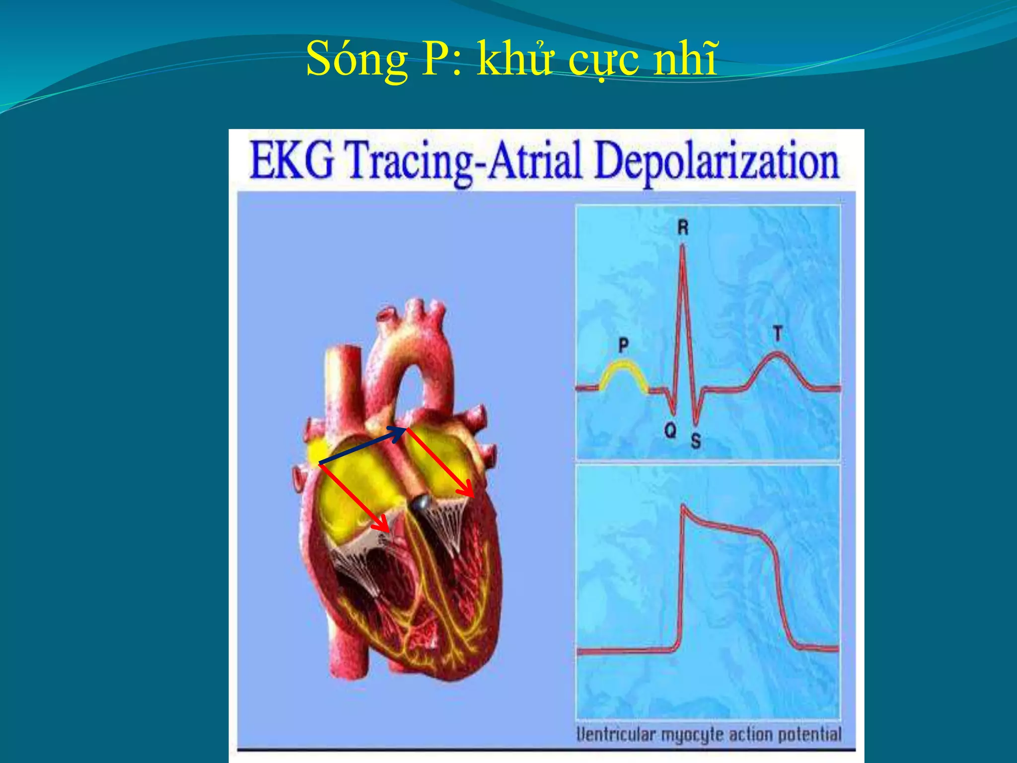 1. Tiếp cận ECG.pptx