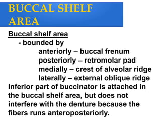 1. BIOLOGICAL CONSIDERATIONS IN MANDIBULAR IMPRESSION.pptx