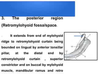 Retromylohyoid Space